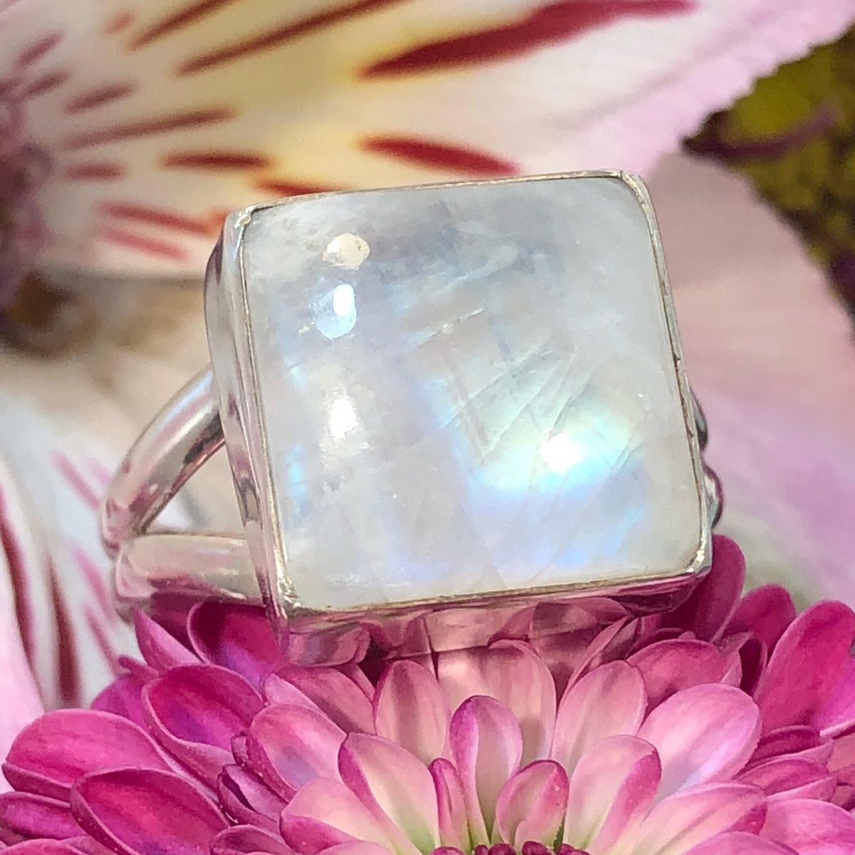 Square Moonstone Ring Sterling Silver FREE Shipping + FREE Gift Box - AlphaVariable